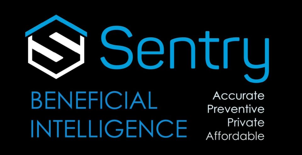 BlueIris with Sentry AI Human Detection Review – How accurate is the AI ...