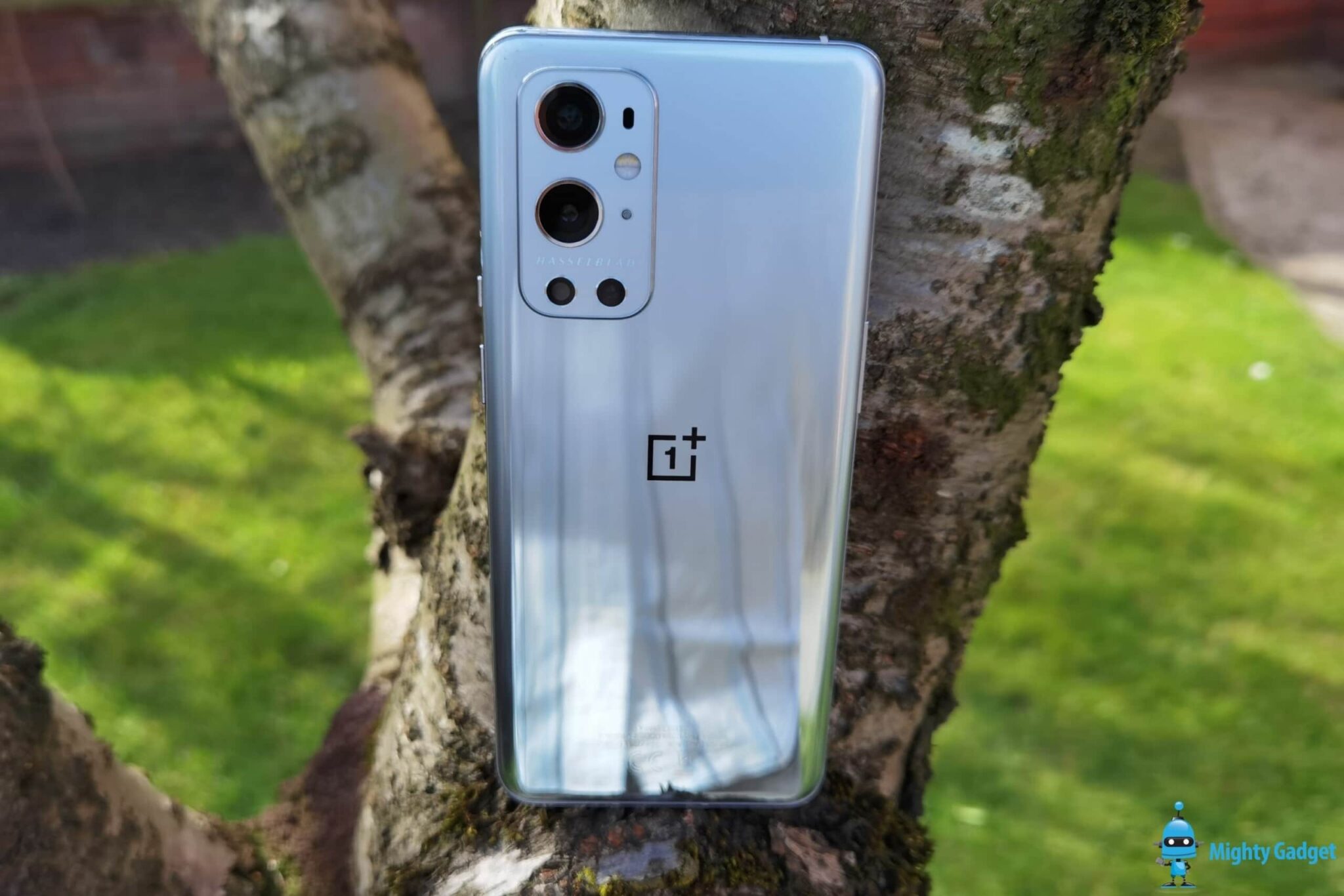 OnePlus 9 Pro Photo and Video Samples – Can the OnePlus compete with ...