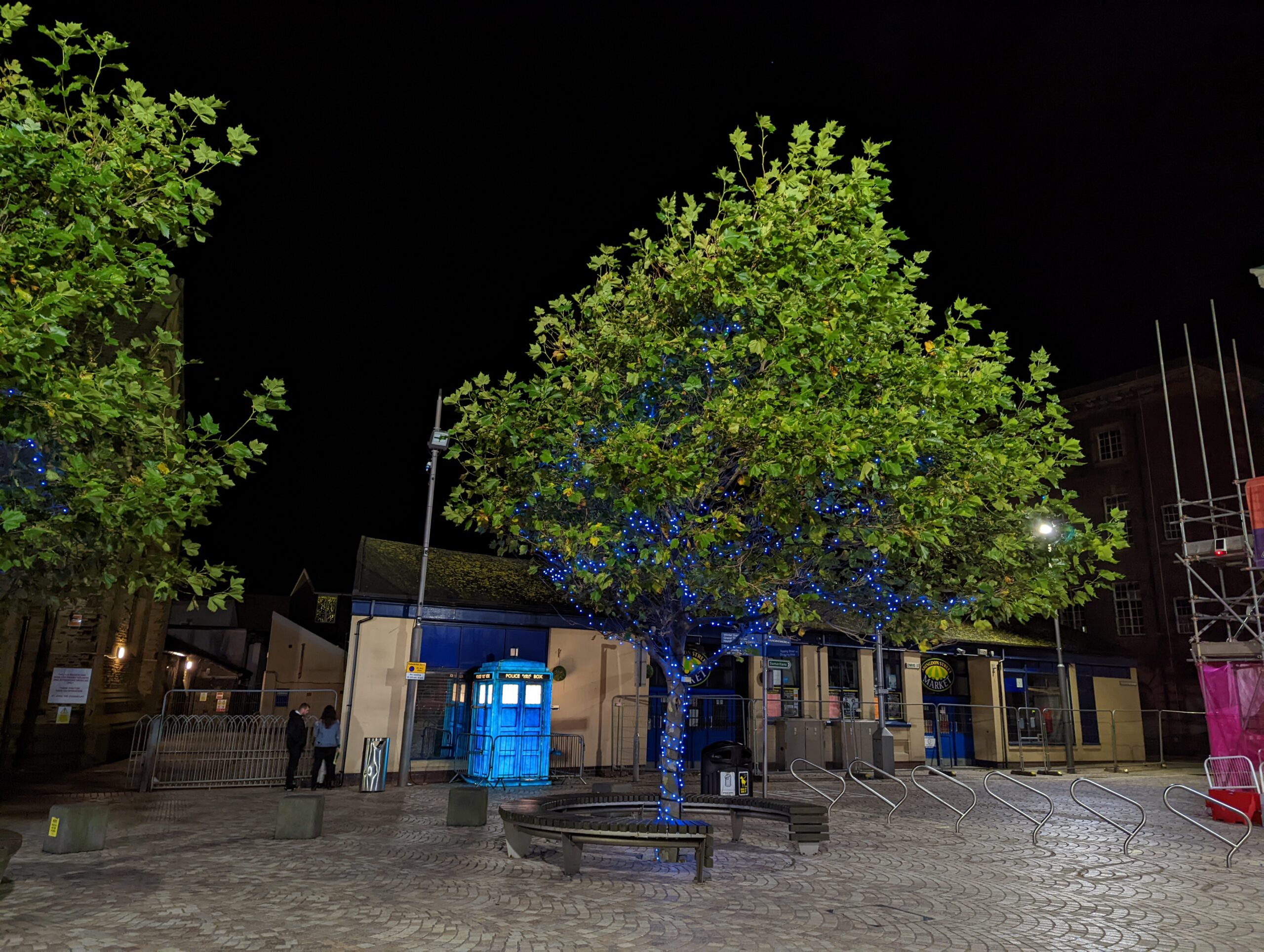 Pixel 6 Pro Review: Photo and Video Samples