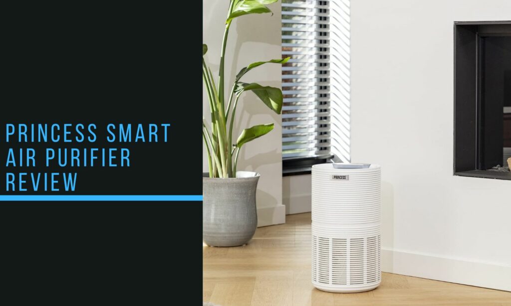 Princess Smart Air Purifier Review – An affordable mid-sized air ...