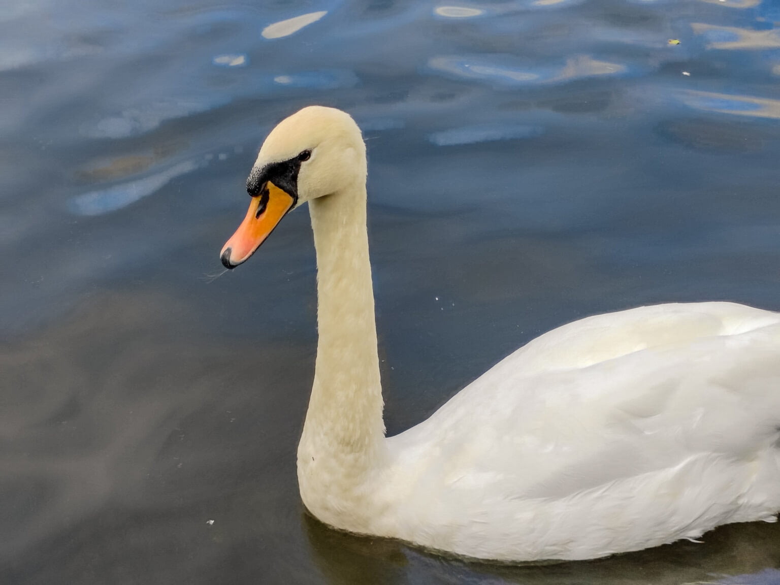 Honor 70 Review – The new 54MP Sony IMX800 camera helps this stand out ...