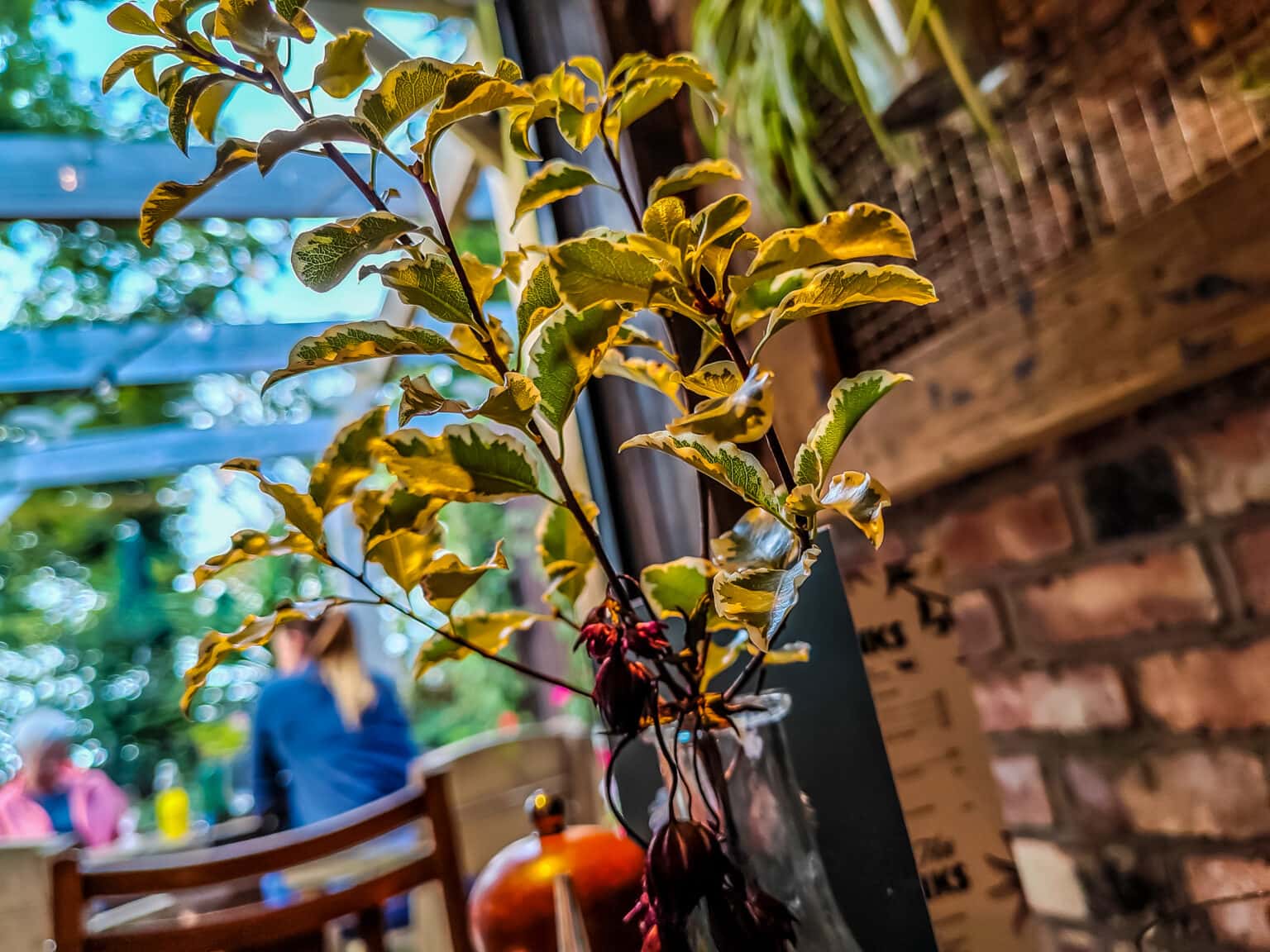 Honor 70 Review – The new 54MP Sony IMX800 camera helps this stand out ...