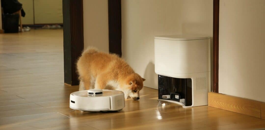 Intel BE200 WiFi 7 Module Review vs Qualcomm NCM865