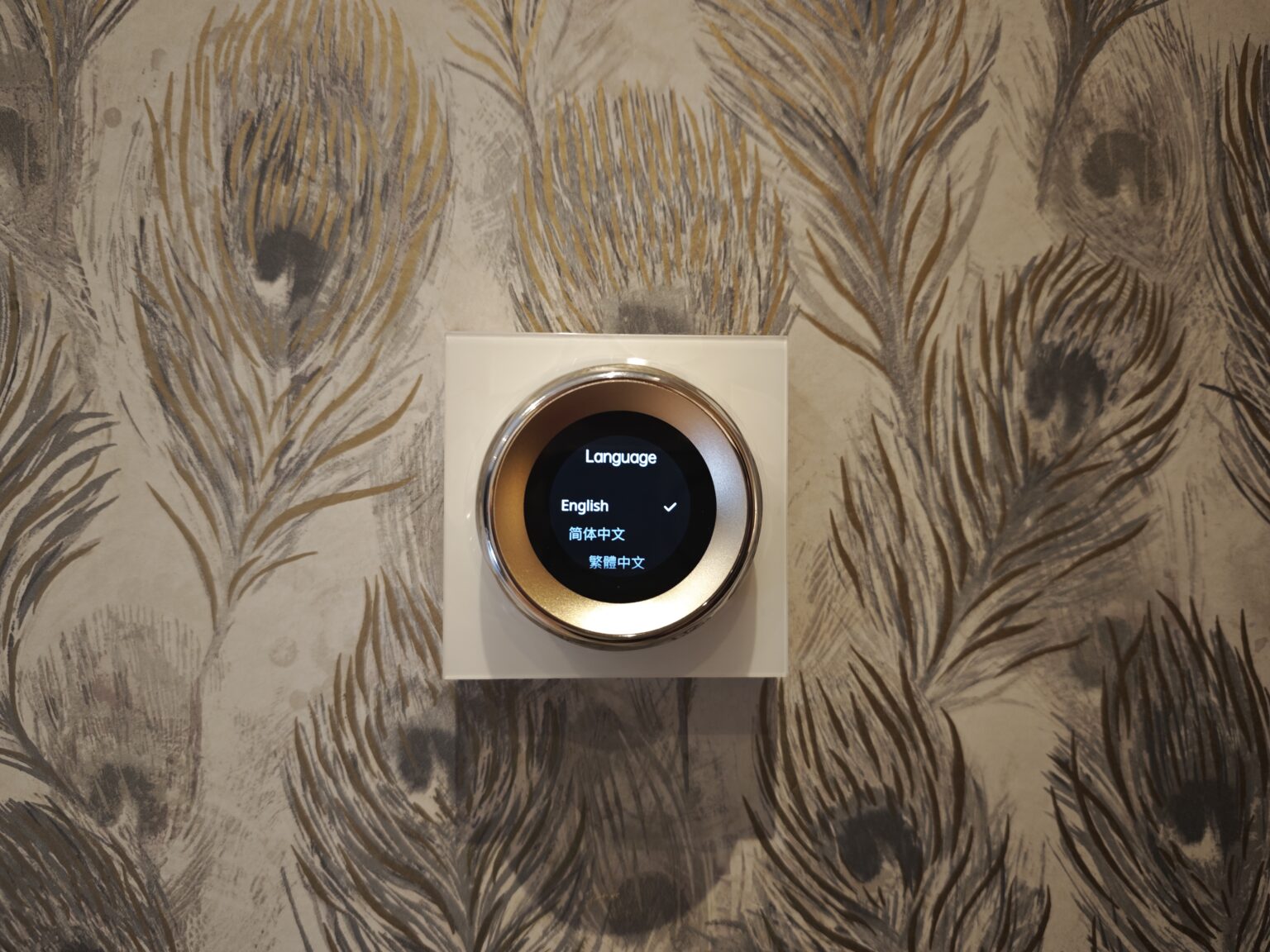 Aqara Touchscreen Dial V1 Review - Amazing hardware but let down by a ...