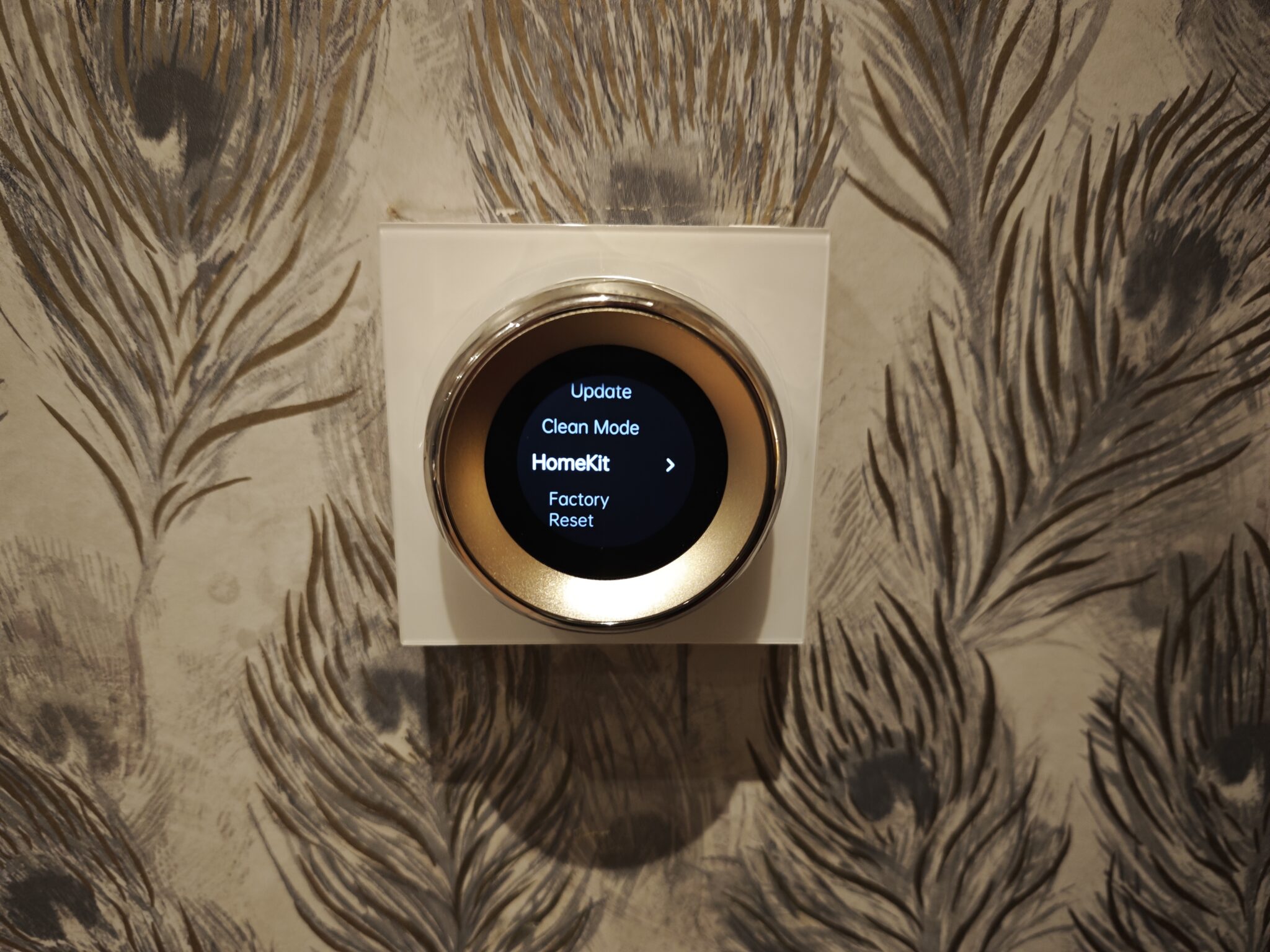 Aqara Touchscreen Dial V1 Review - Amazing hardware but let down by a ...